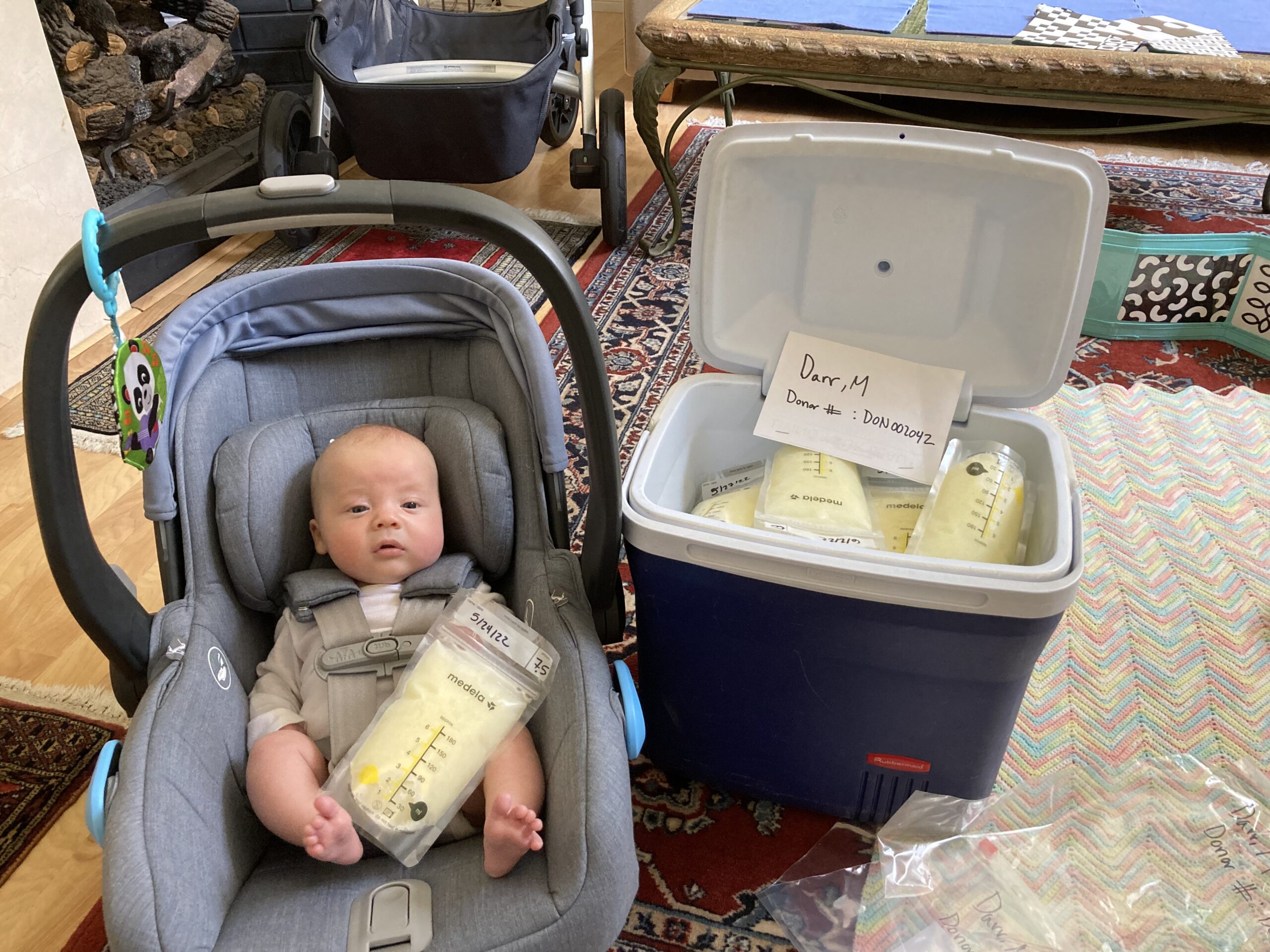 Michelle-Darr_Milk_Bank_Challenge_Baby_ConceiveAbilities_Surrogacy ...