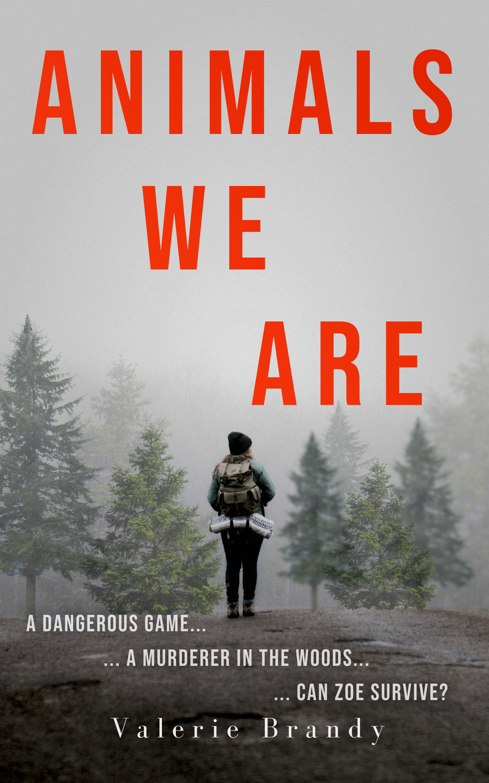 Valerie Brandy S Award Winning Feature Film Lola S Last Letter